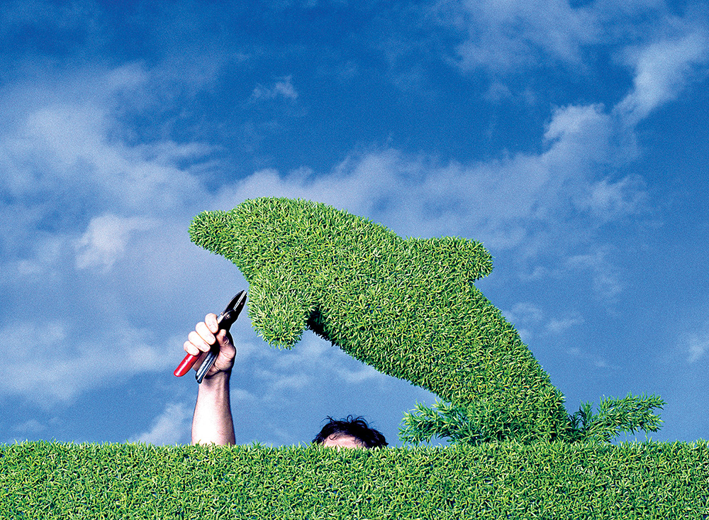 Find, Grow, and Retain Top Talent: A 5-Step Plan - TalentQ